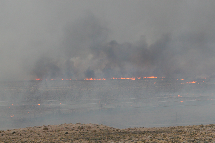 Copyright Cheryl Hogan, www.cherylhogan.com, ALL RIGHTS RESERVED ...