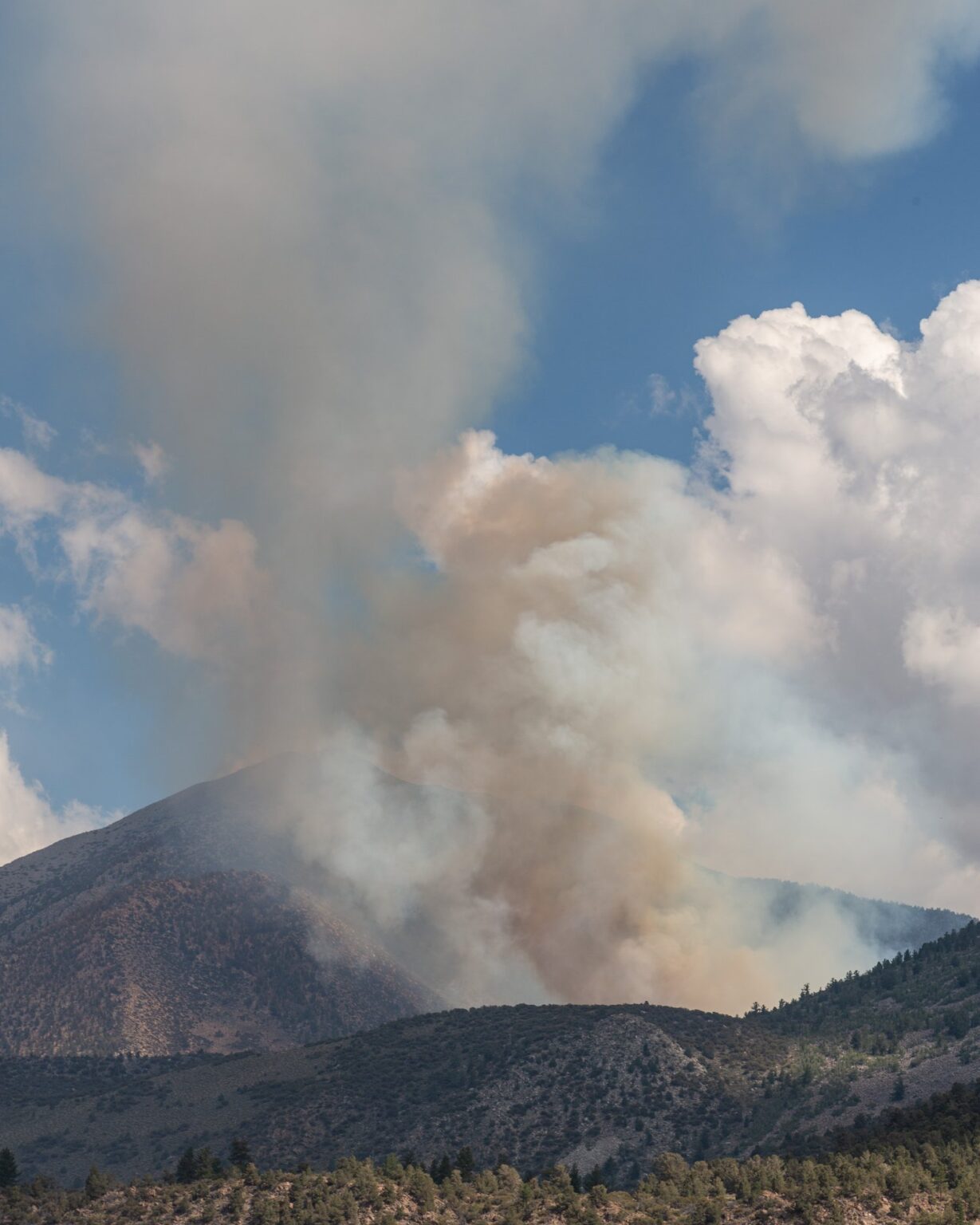 Lifting of Closures - USFS Iris Fire Update Daily Update | July 27 as ...
