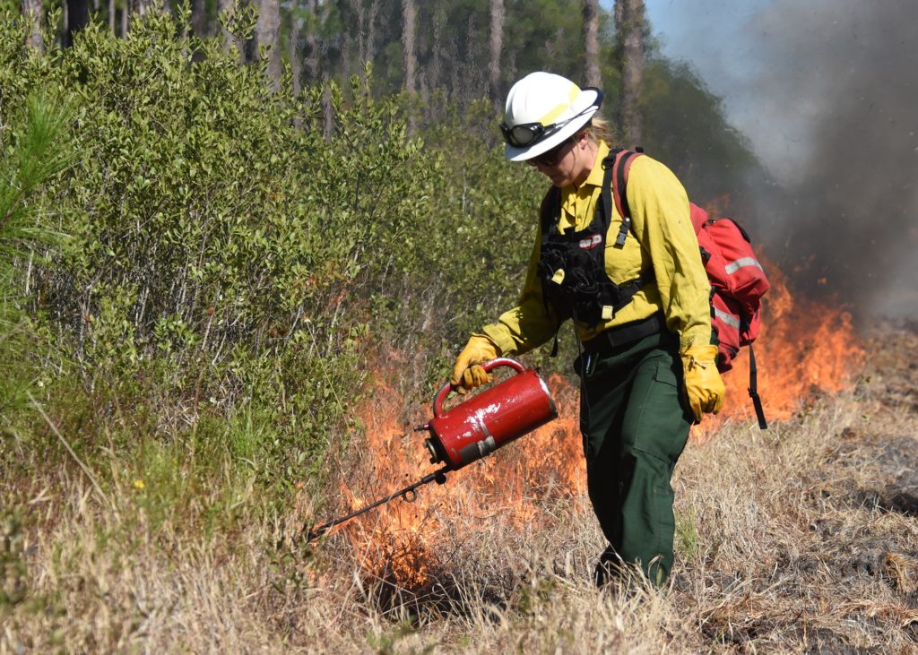 INF announces planned prescribed fire projects near Sunny Slopes/Tom’s ...
