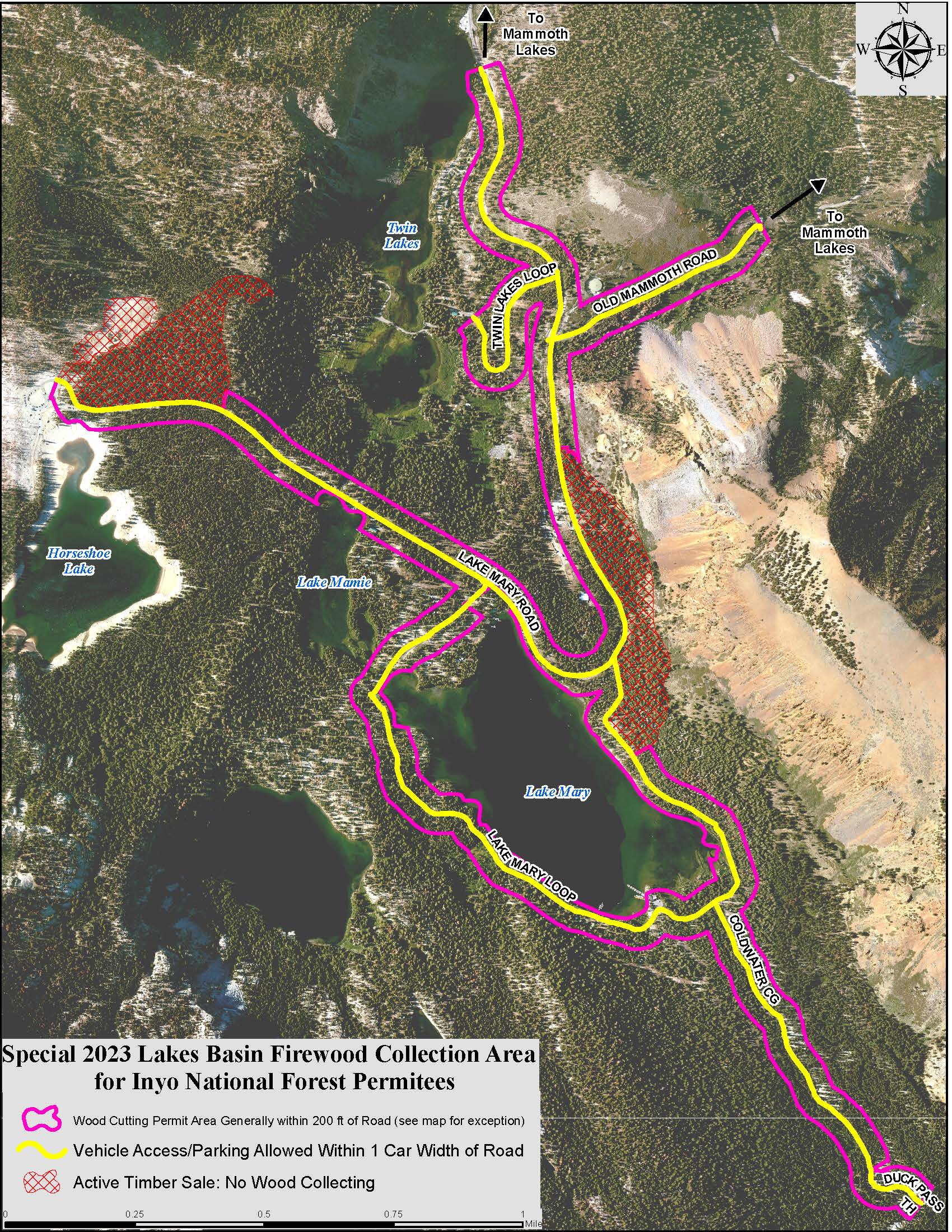 Inyo National Forest Fuelwood CollectionSseason Extended Until November ...
