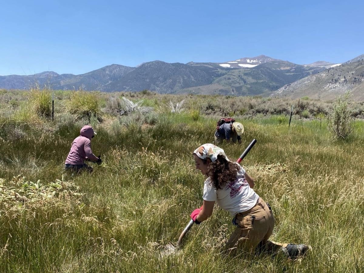 ESLT July News and Upcoming Events - Sierra Wave: Eastern Sierra News ...