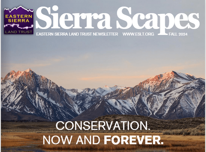 Eastern Sierra Land Trust - SierraScapes Fall 2024 Issue - Sierra Wave ...