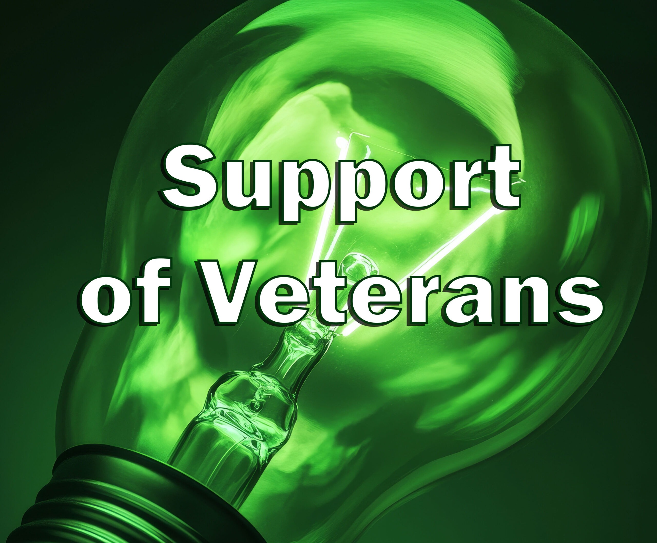 Mono County Board of Supervisors Honors Veterans by Participating in ...