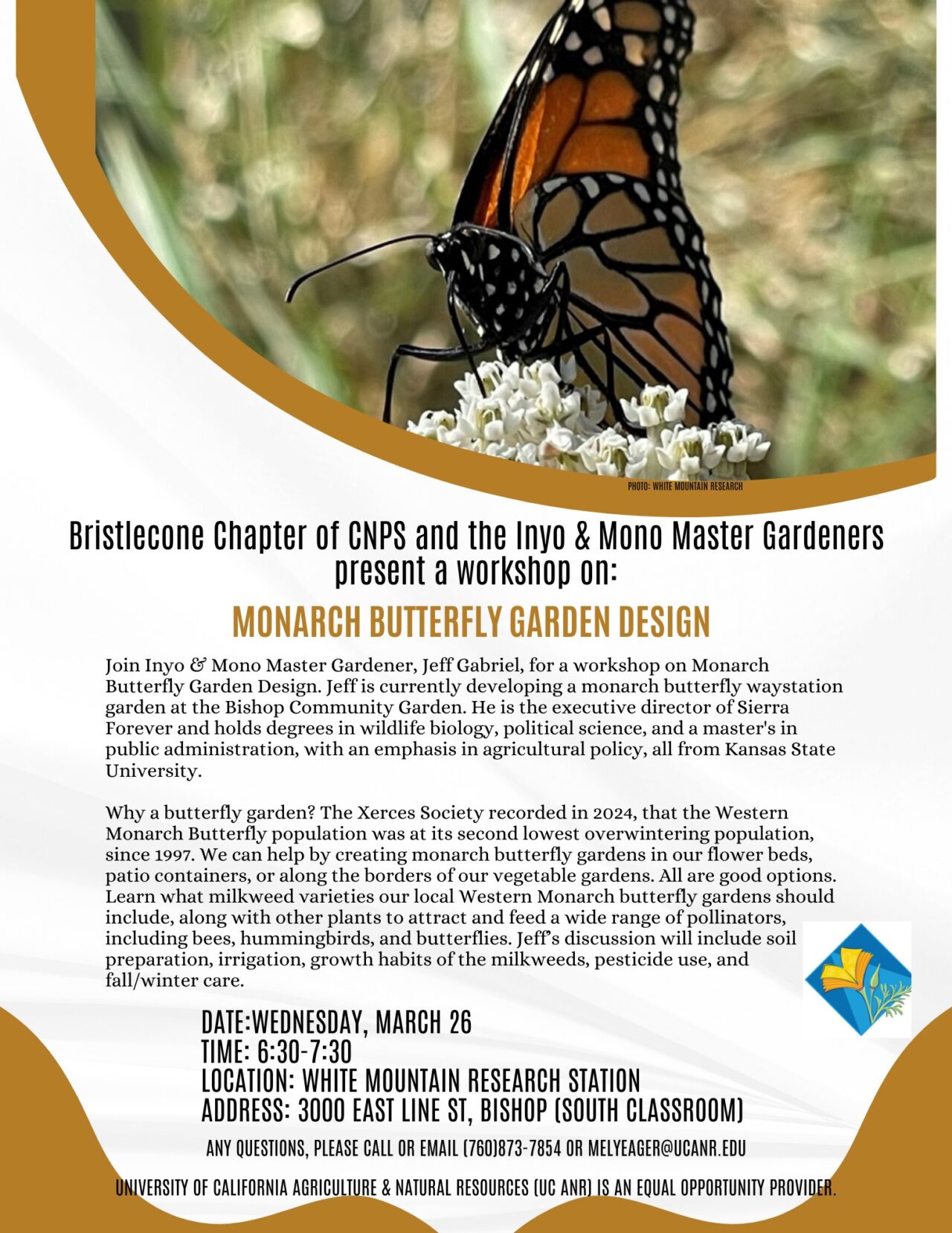 Monarch Butterfly Garden Design - Sierra Wave: Eastern Sierra News ...