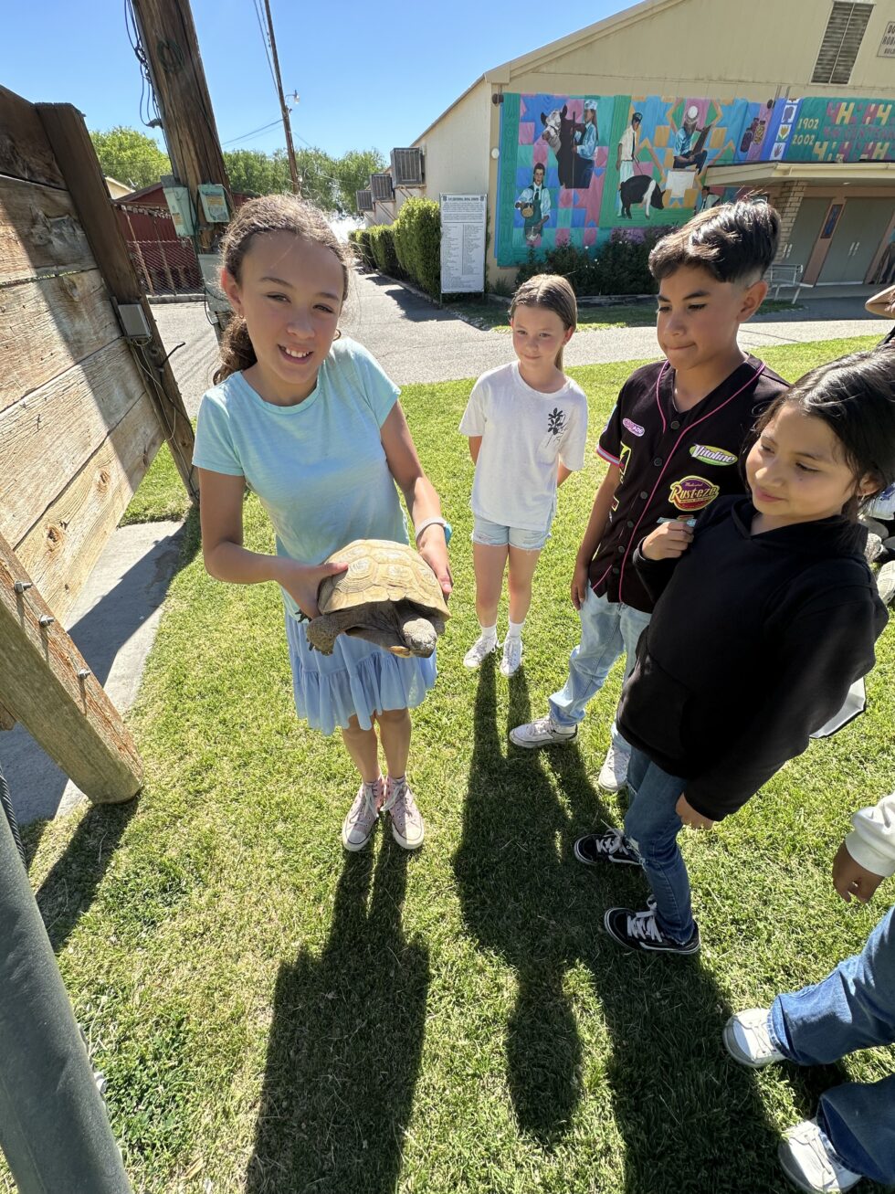 5th Grade College and Career Day 2025 - Sierra Wave: Eastern Sierra ...