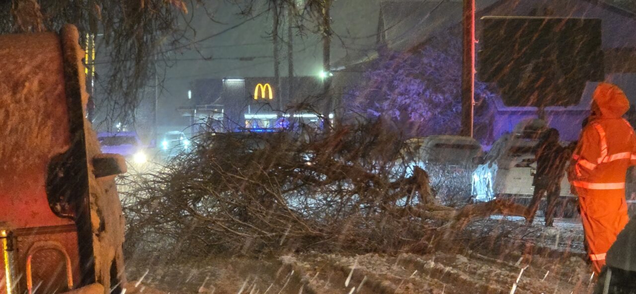 Gratitude in the Storm - Sierra Wave: Eastern Sierra News - The ...